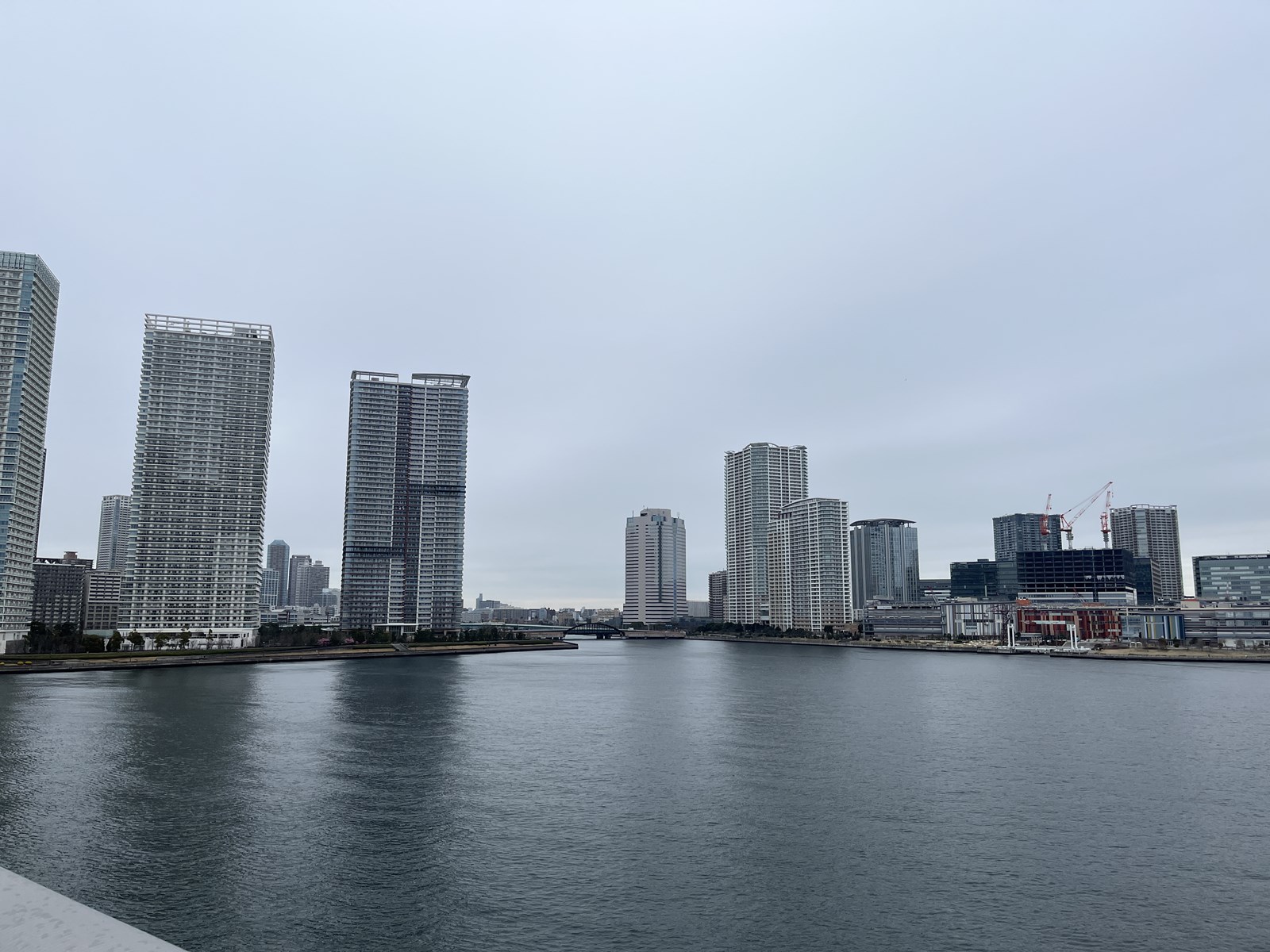 IMG_2952 | ネットザマリオネットのブログ